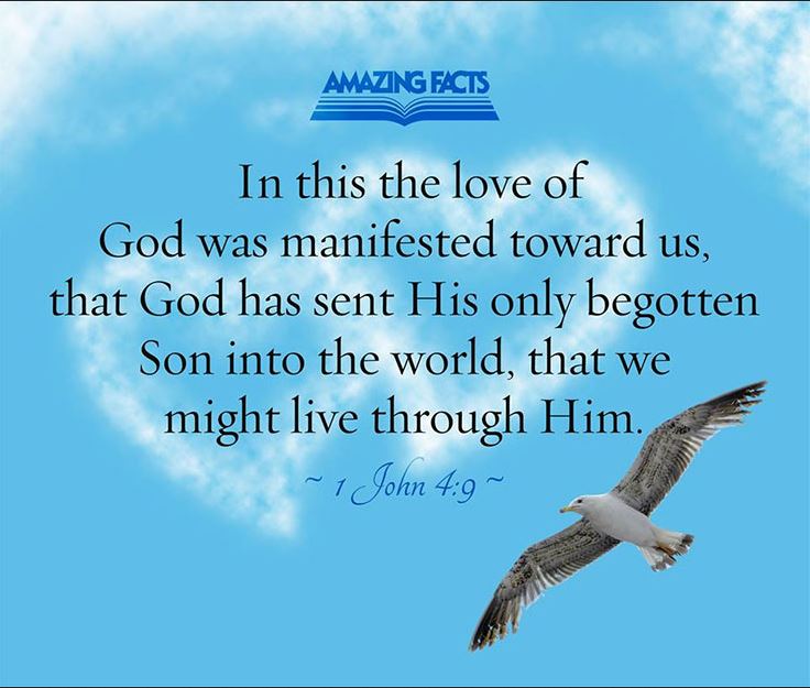 Christ’s Love and Glory | Compelling Love