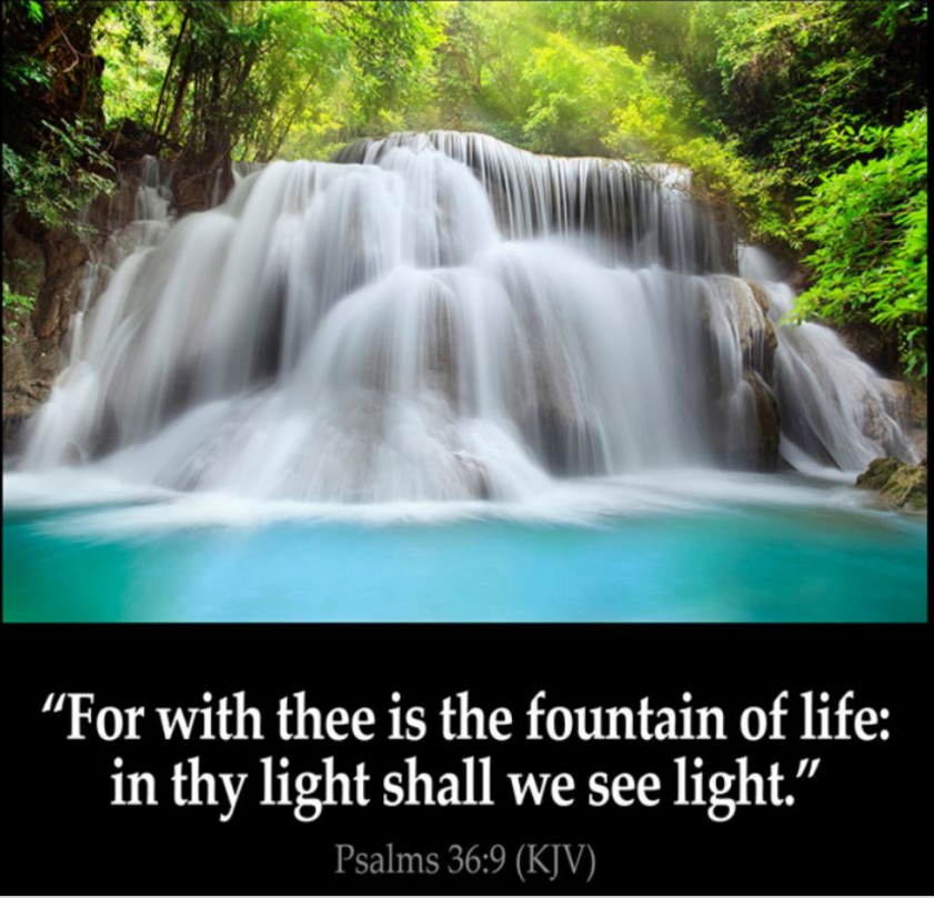 Our Fountain of Living Waters | Compelling Love